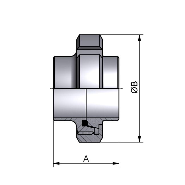 Coupling DIN11851 complete 304 NBR DN25 | SKS Online