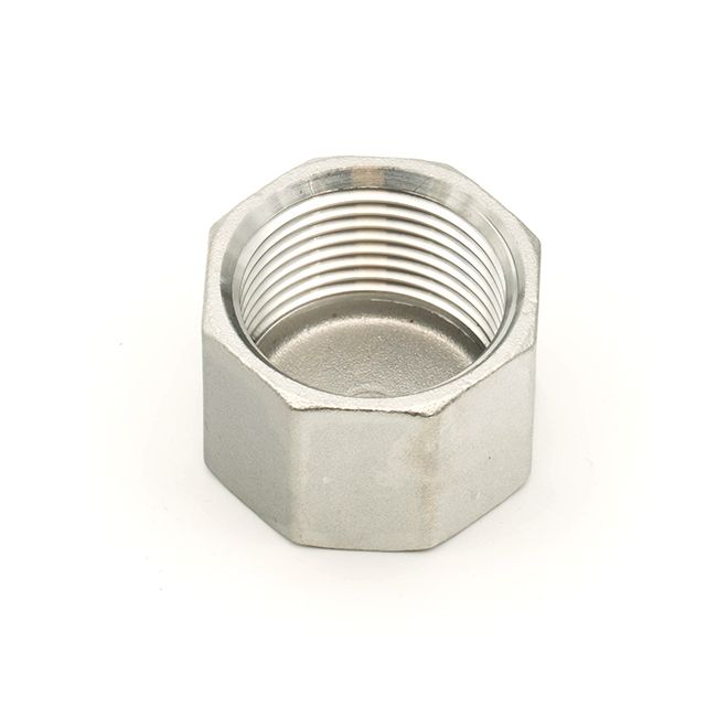 BSP Hexagon cap 1/4" 316 | SKS Online