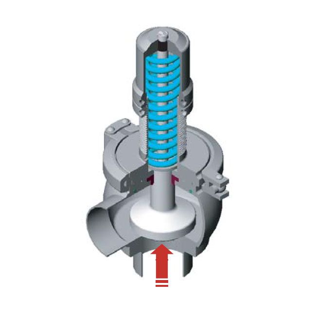 Inoxpa type 74700 | SKS | Stainless Steel