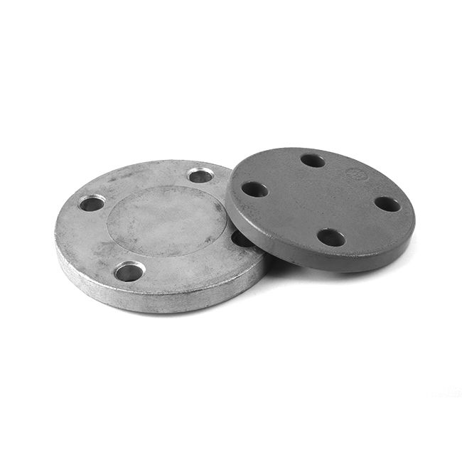 Blindflenzen | SKS | RVS