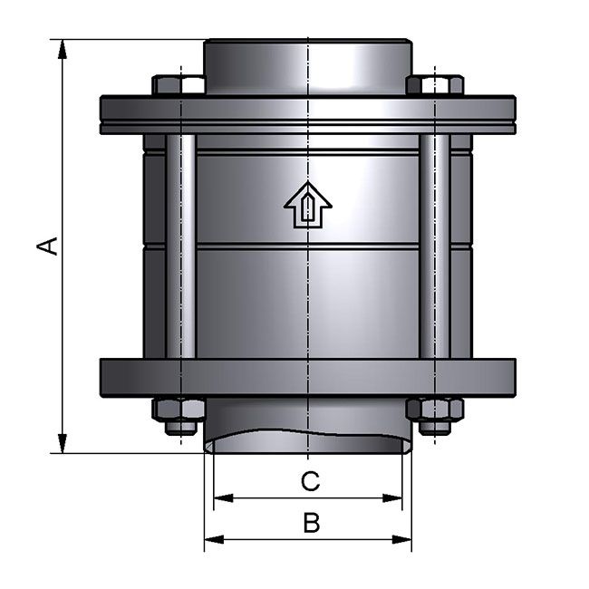 Check valve fl/fl DN50 316L | SKS Online